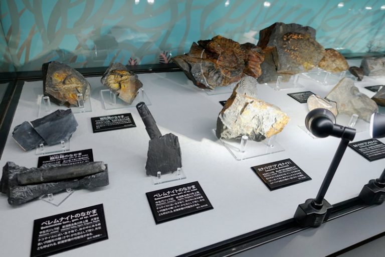 Permanent Exhibits - Fossa Magna Museum