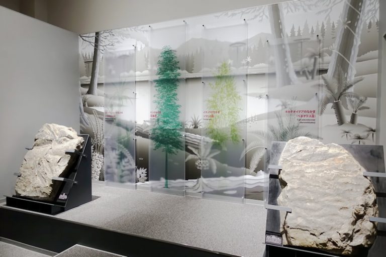 Permanent Exhibits | Fossa Magna Museum