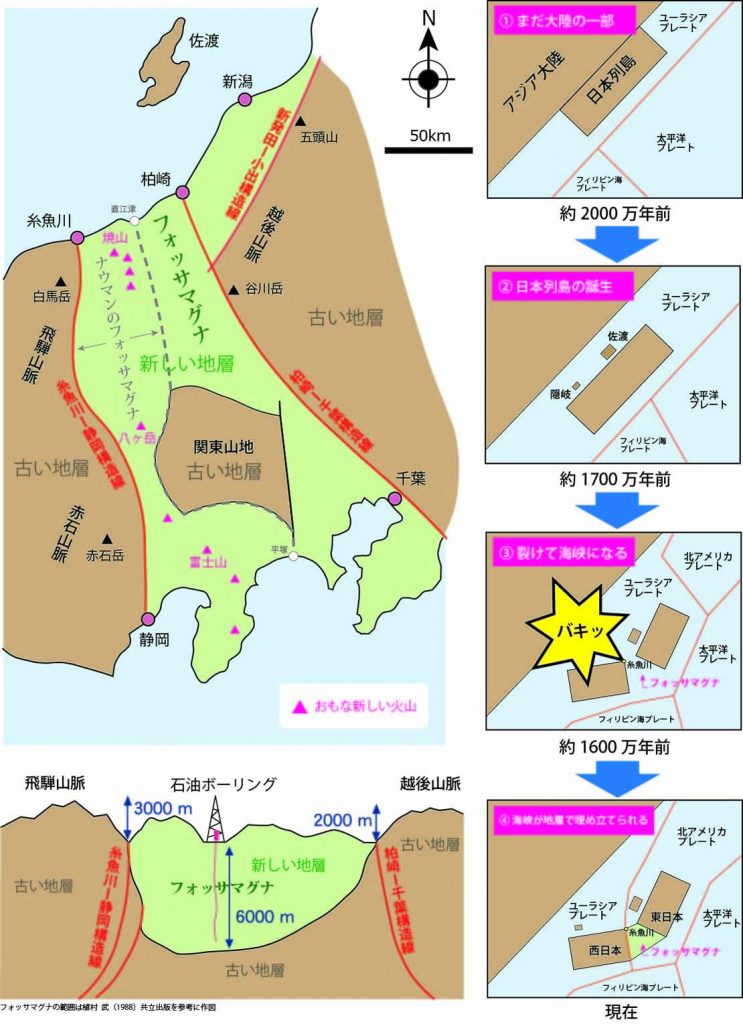 フォッサマグナと日本列島 - フォッサマグナミュージアム Fossa Magna Museum - 新潟県糸魚川市のヒスイとフォッサマグナの ...